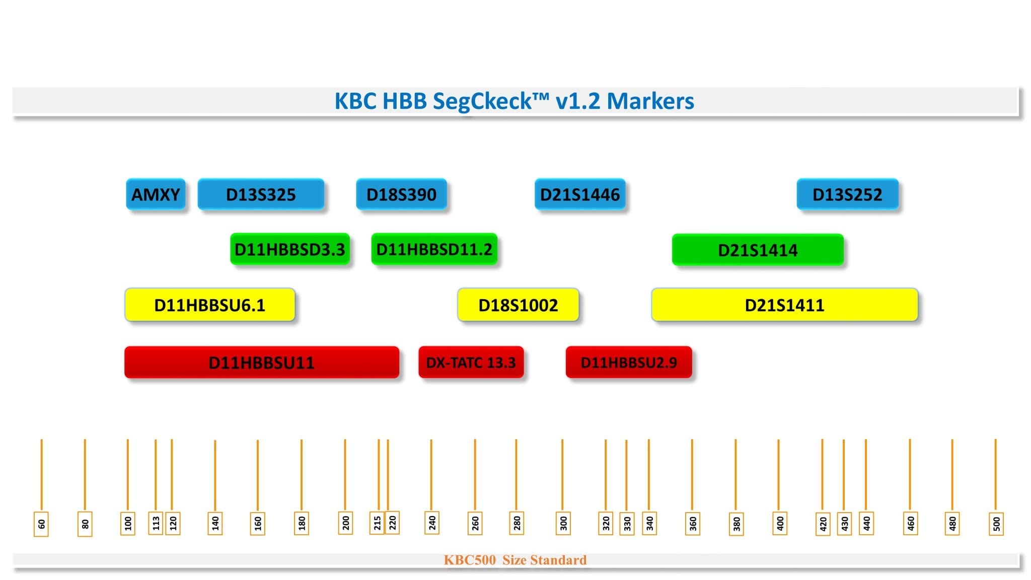 HBB Segcheck v1.2 - زیست فناوری کوثر